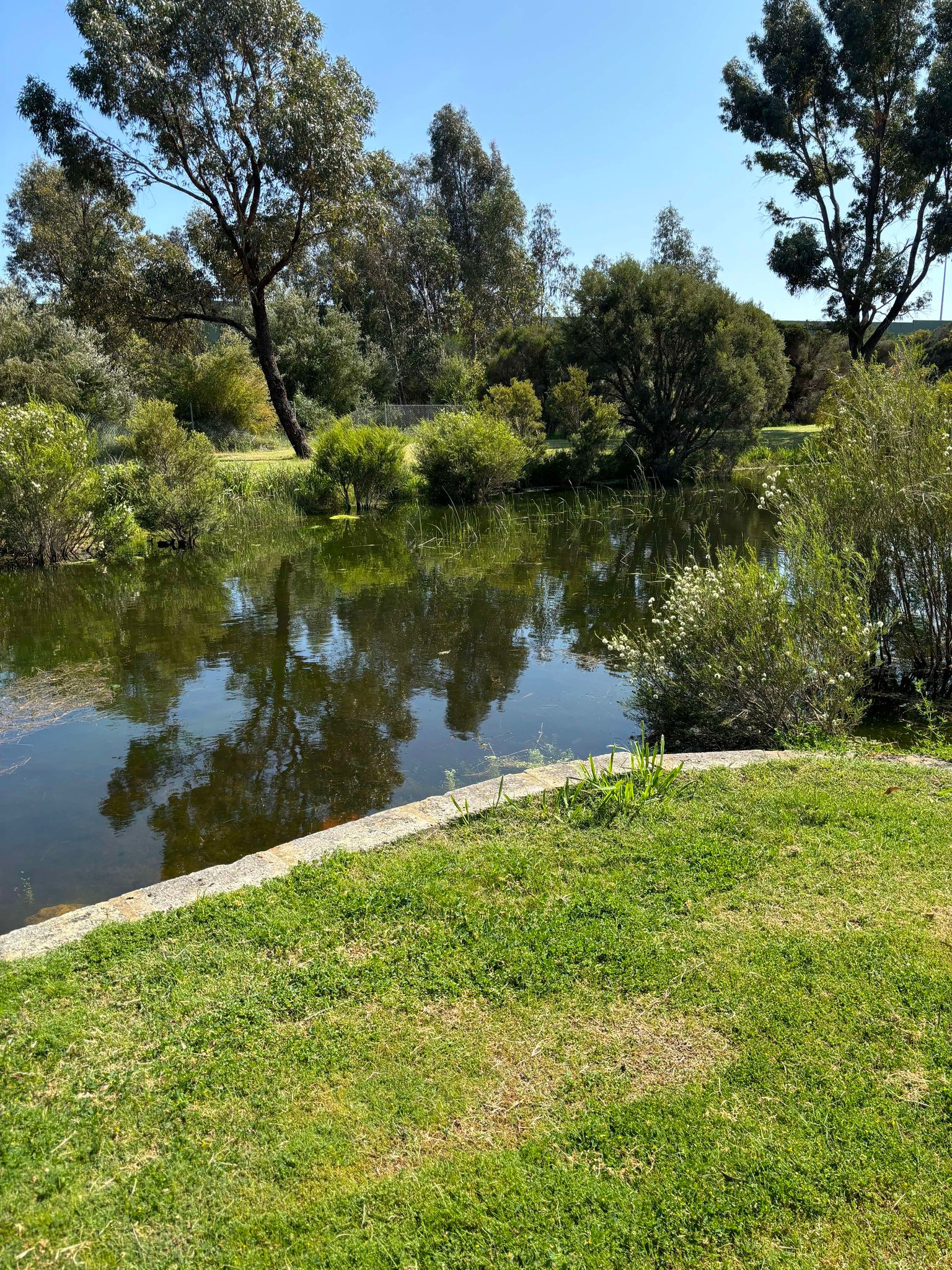 Willow Lakes - Cell 9 Wattle Grove Upgrades | Engage Kalamunda